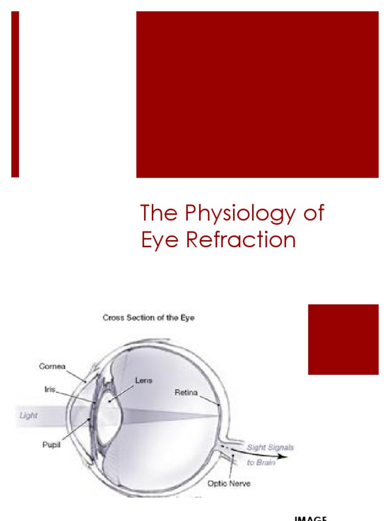 The Physiology of Eye Refraction | PDF