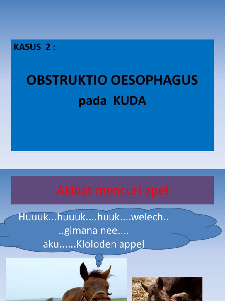 Esofagus Kuda 2 | PDF | Kajian Bahasa Asing