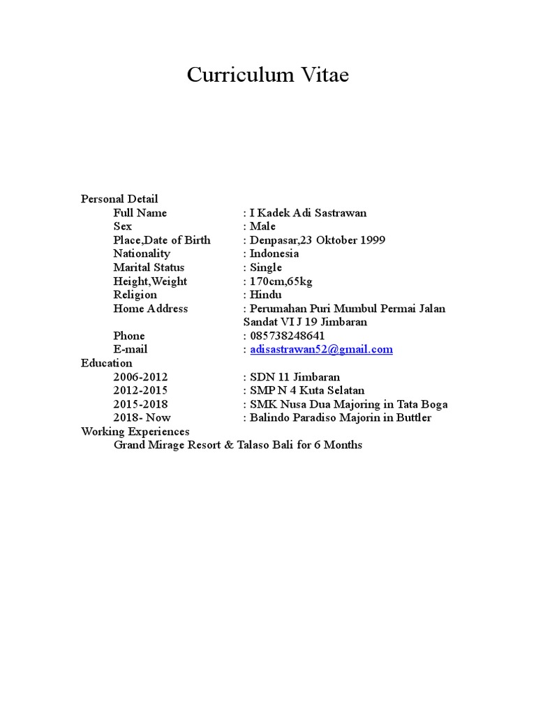 CV Adi | PDF