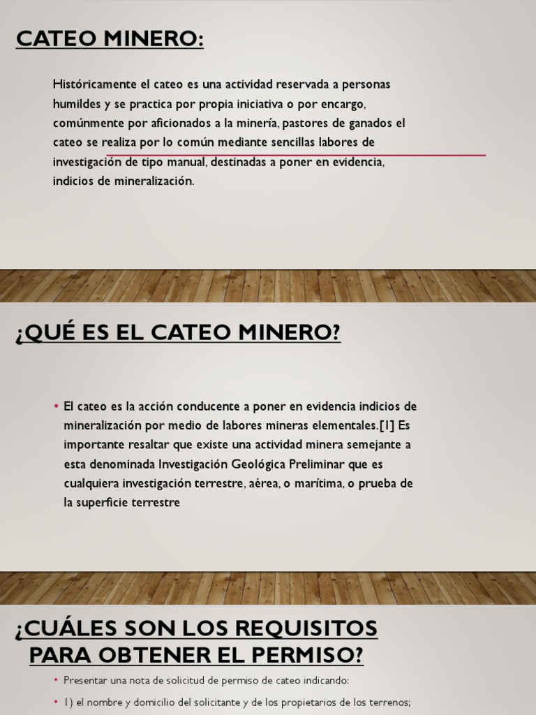 Cateo Minero | PDF | Minería | Business