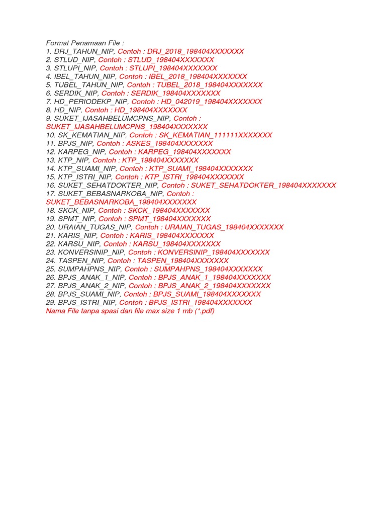 Format Penamaan File Resmi | PDF