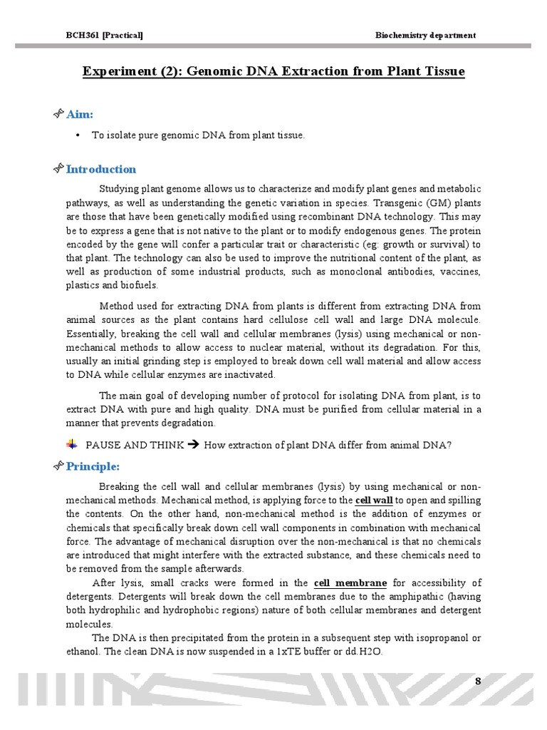 Plant DNA Extraction Protocol Guide | PDF | Genetic Engineering | Cell ...