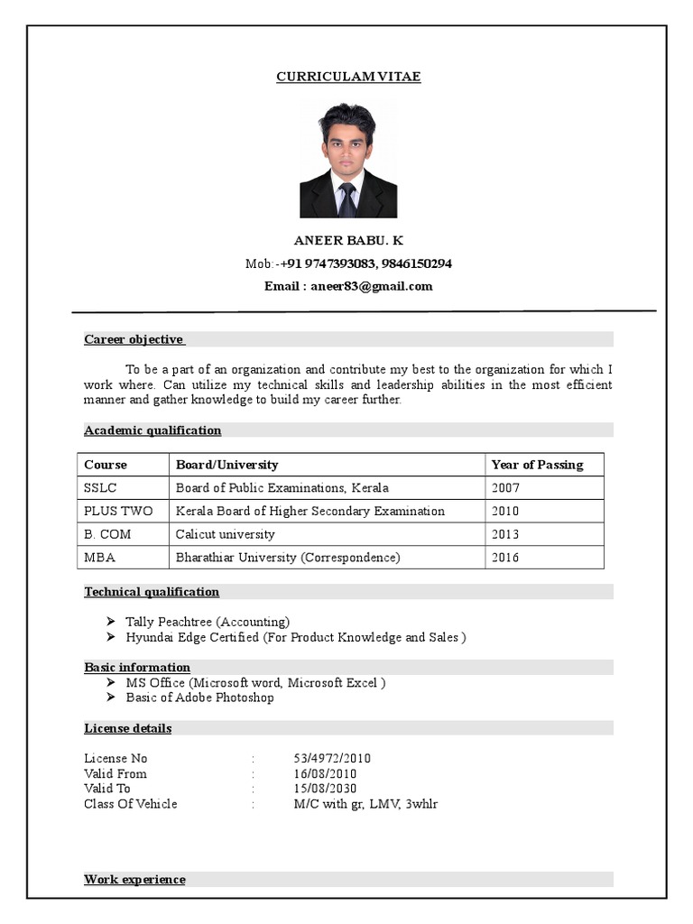 A Concise Curriculum Vitae for Aneer Babu K | PDF