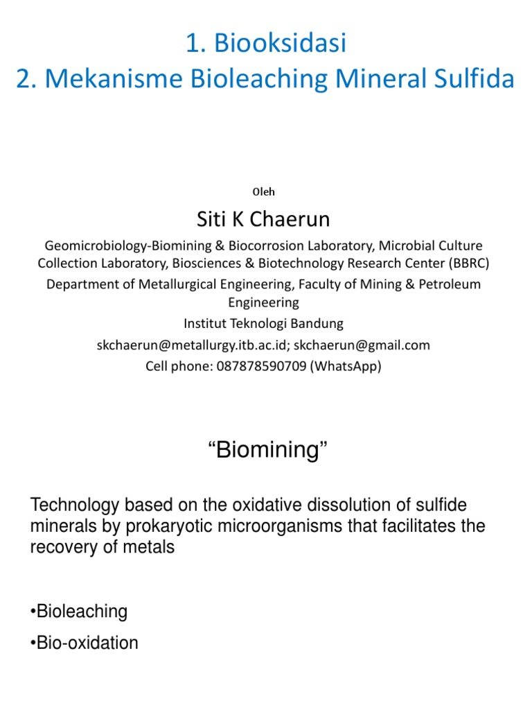 Materi 3a Biooksidasi Bioleaching Mineral Sulfida Pdf Chemical