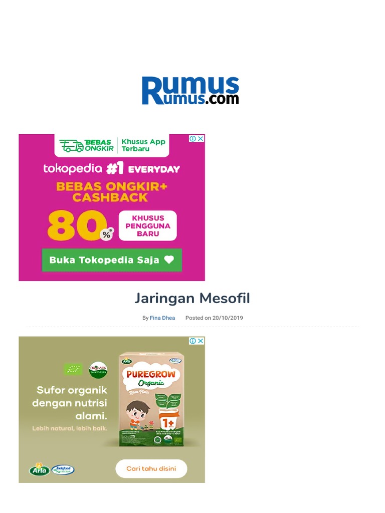 Jaringan Mesofil - Pengertian, Fungsi, Struktur Penyusun Pada Daun ...