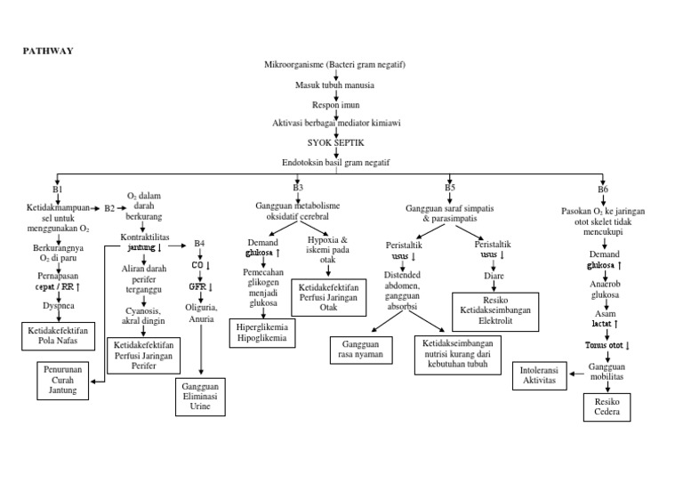 Pathway Sepsis | PDF