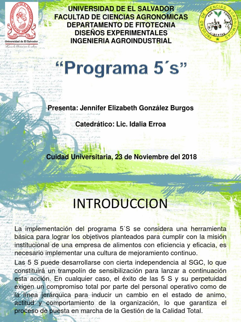Programa 5 S | PDF | Gestión de la calidad | Business