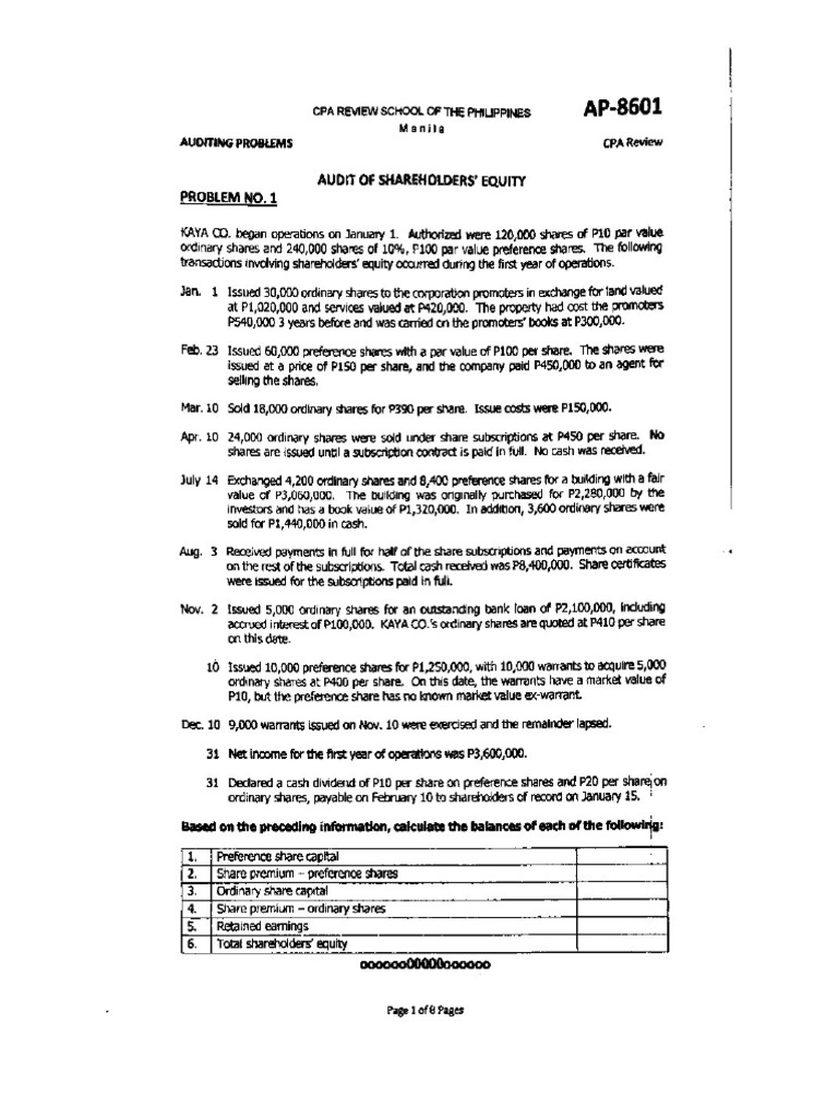 Auditing Problem Reviewer | PDF