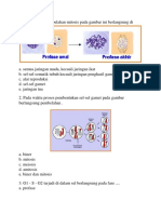 Latihan Soal Pembelahan Sel | PDF