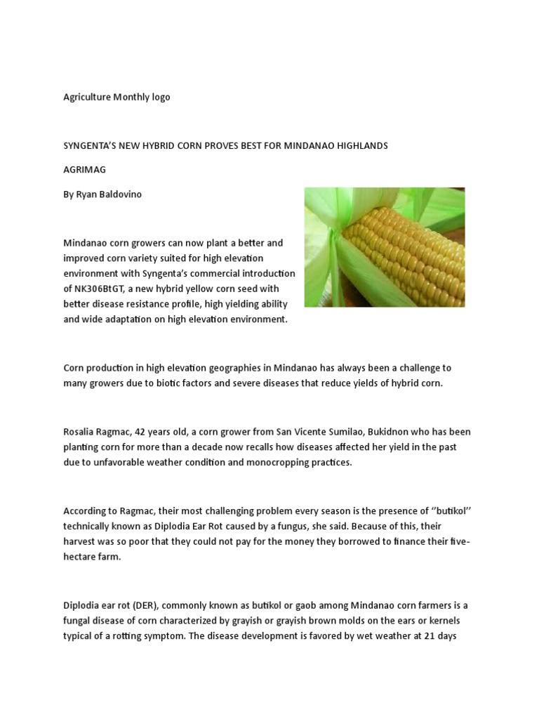 Corn | PDF | Maize | Crop Yield