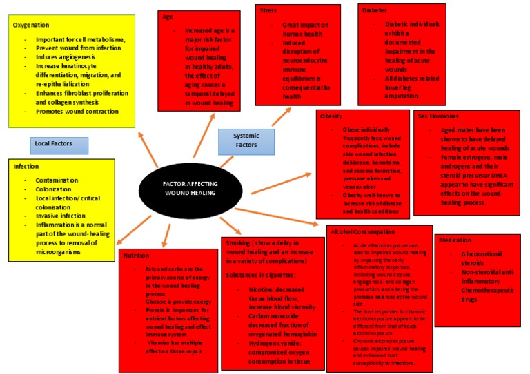 Local Factors Systemic Factors: Factor Affecting Wound Healing | PDF ...