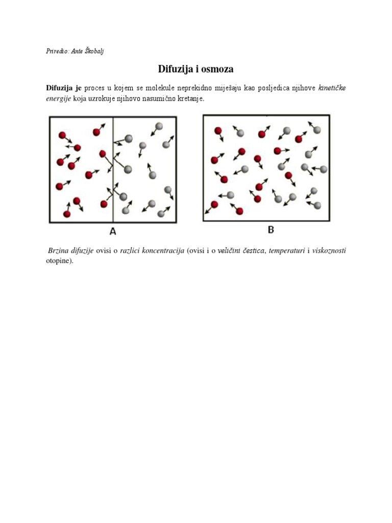 Difuzija I Osmoza | PDF