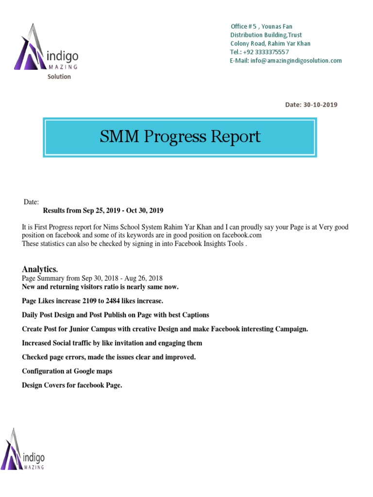 SMM Progress Report: Analytics | PDF | Internet Search Engines ...