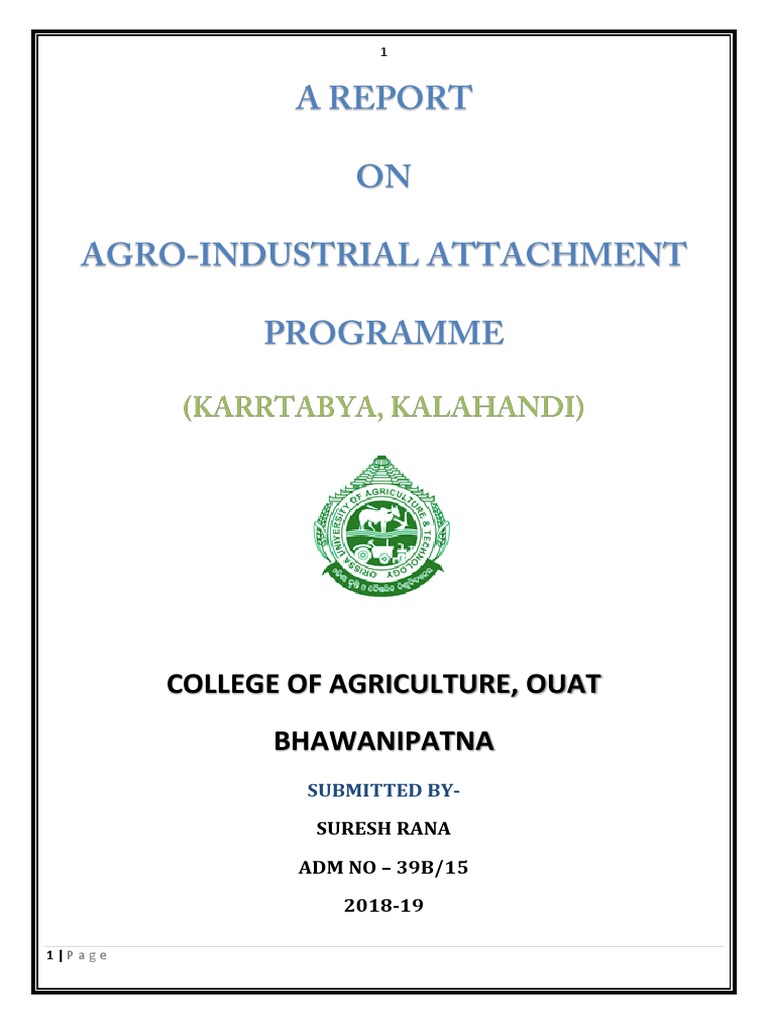 industrial-attachment-pdf-entrepreneurship-rice