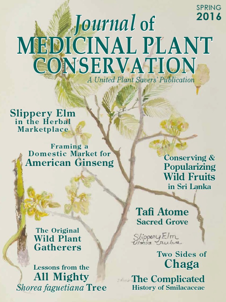 Journal of Medicinal Plant Conservation | PDF | Trees | Appalachian ...