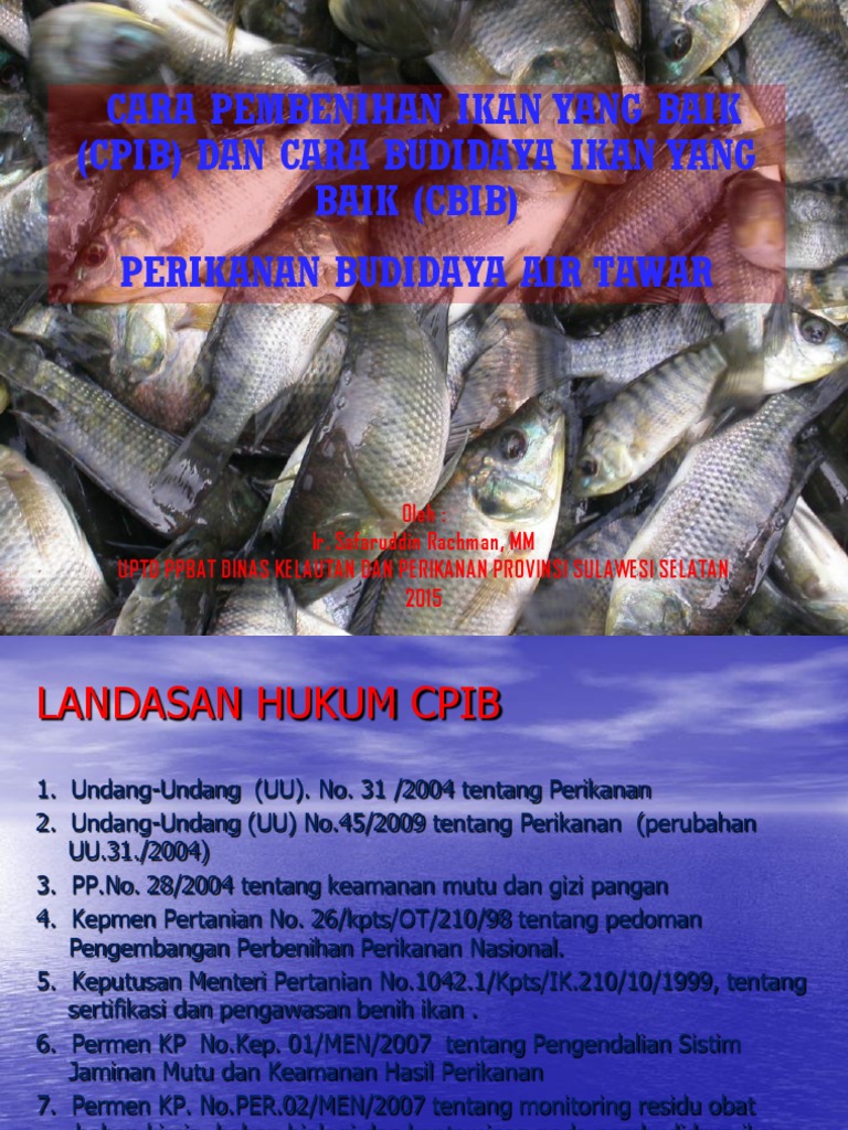 Materi Cpib Dan Cbib | PDF | Teknologi & Rekayasa