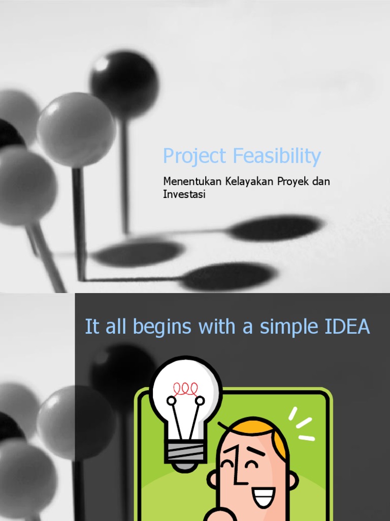 Feasibility Study (FS) | PDF