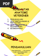 Anatomi Kuda Merged | PDF