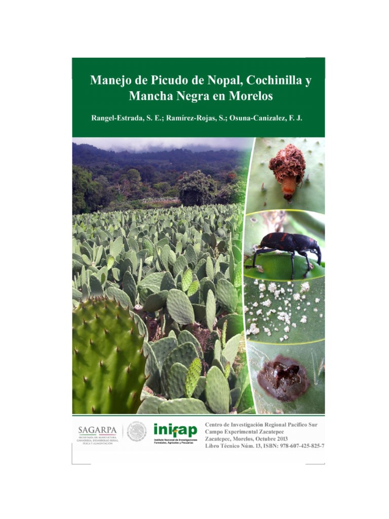 Manejo De Picudo De Nopal Cochinila Y Mancha Negra Pdf Pesticida