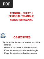 Gluteal Region Anatomy and Landmarks | PDF | Soft Tissue | Limbs (Anatomy)