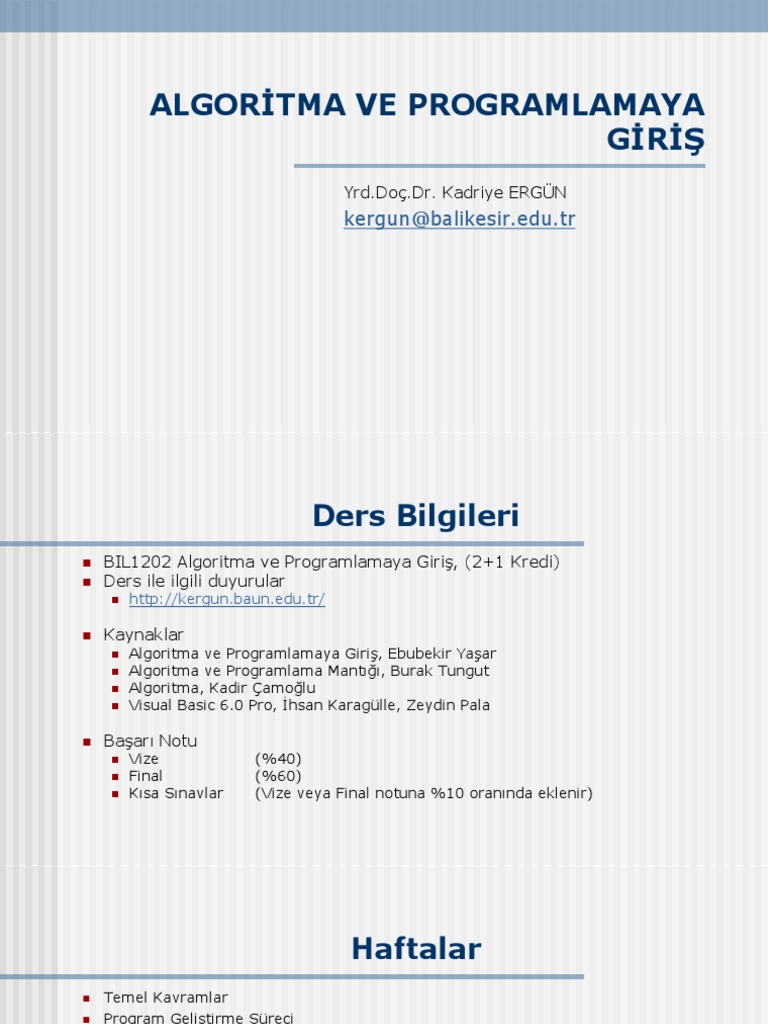 Algori̇tma Ve Programlamaya Gi̇ri̇ş PDF | PDF