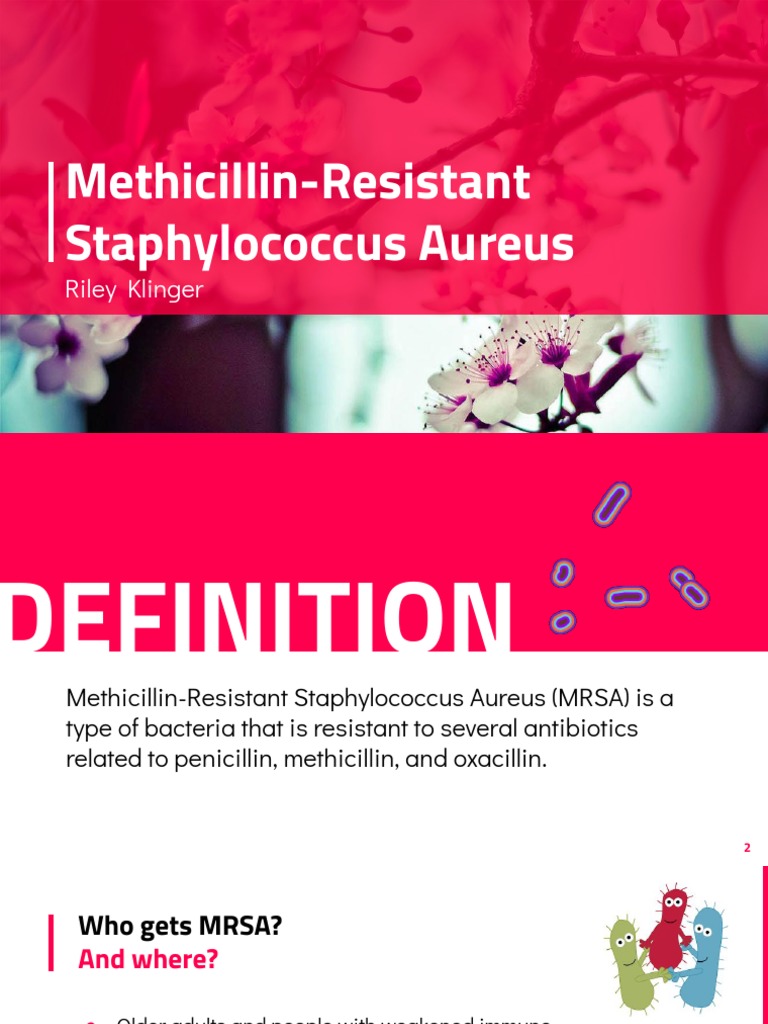 Mrsa Research | PDF | Methicillin Resistant Staphylococcus Aureus ...