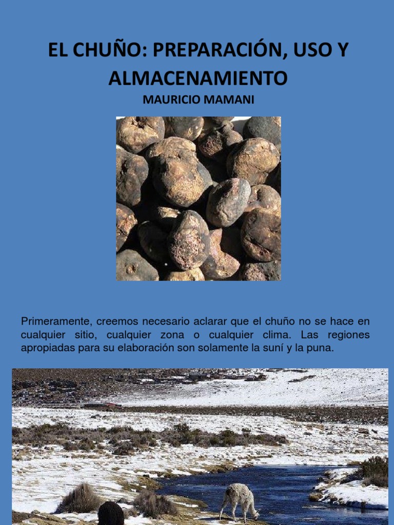 El Chuño y Preparacion | PDF | Patata | Cultivos