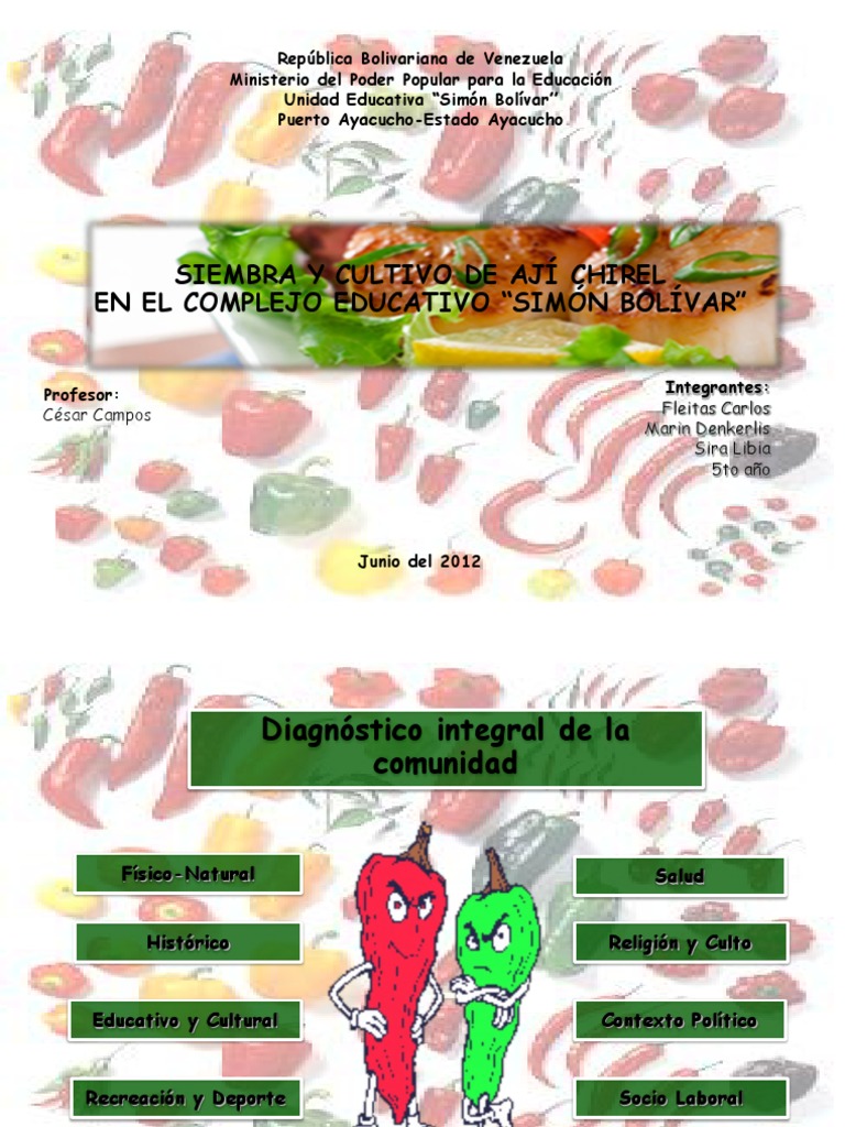 Proyecto AJI | PDF | Siembra | Ají picante