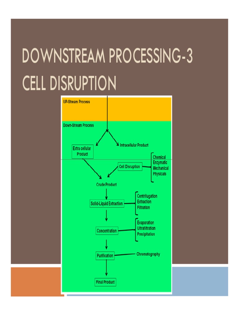A1120897415 - 22440 - 13 - 2019 - Downstream Processing-3 | PDF ...