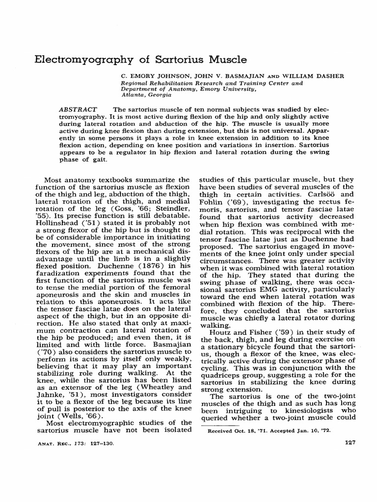 Johnson Et Al-1972-The Anatomical Record | PDF | Anatomical Terms Of ...