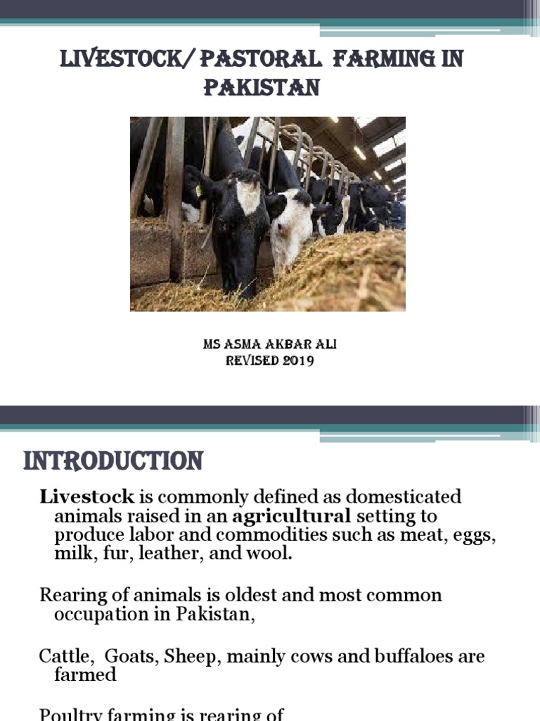 Pakistan's Livestock Farming Guide | PDF | Livestock | Goat