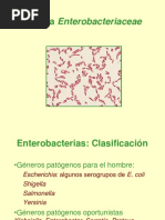 Línea Del Tiempo de La Microbiología - 20250122 - 231540 - 0000 | PDF | Microbiología | Adn