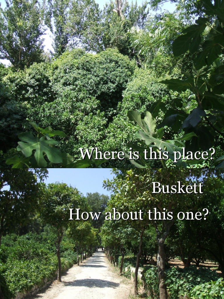 Buskett | PDF | Language Arts & Discipline | Poetry