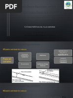 Flujo Critico, Subcritico y Supercritico | PDF | Gravedad | Ciencias ...