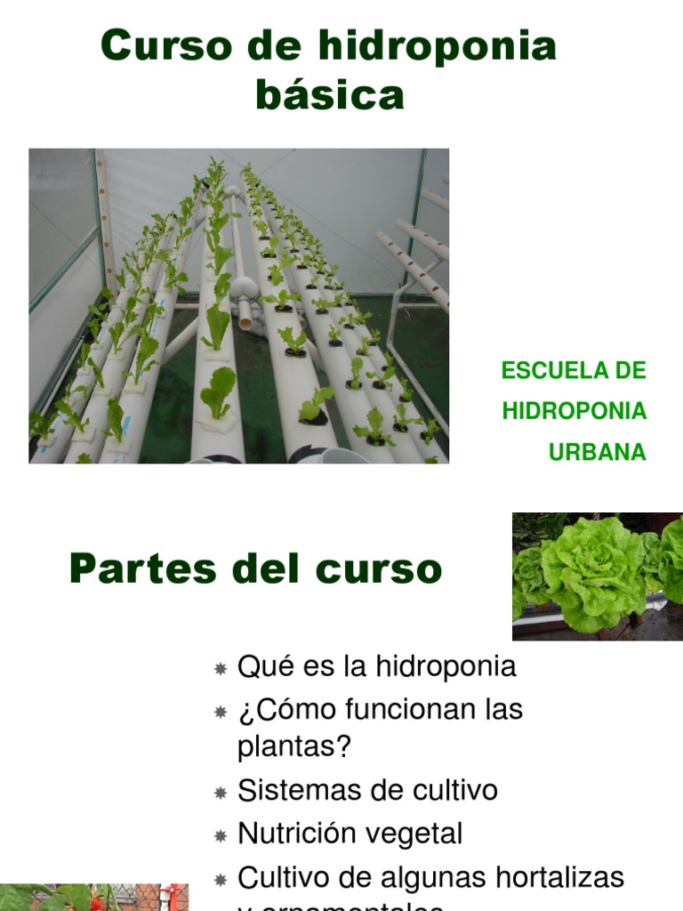 Curso de Hidroponia Básica (AGOSTO 2007) | PDF | Hidroponia | Germinación