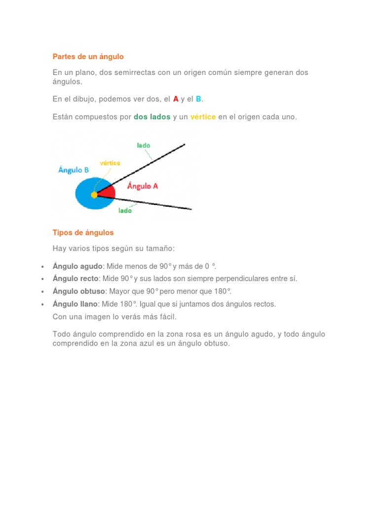 Partes de Un Ángulo | PDF
