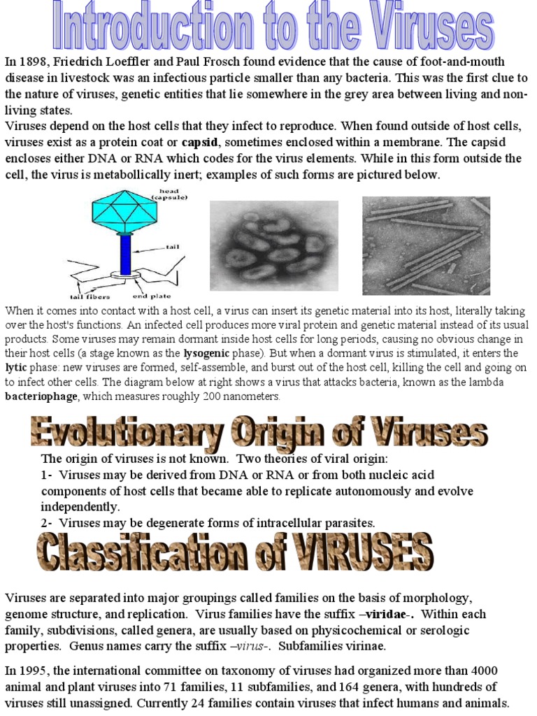 Introduction To Viruses 2 | PDF | Virus | Bacteriophage