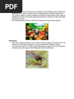 Tinikling Dance: Steps, Costumes & Props | PDF