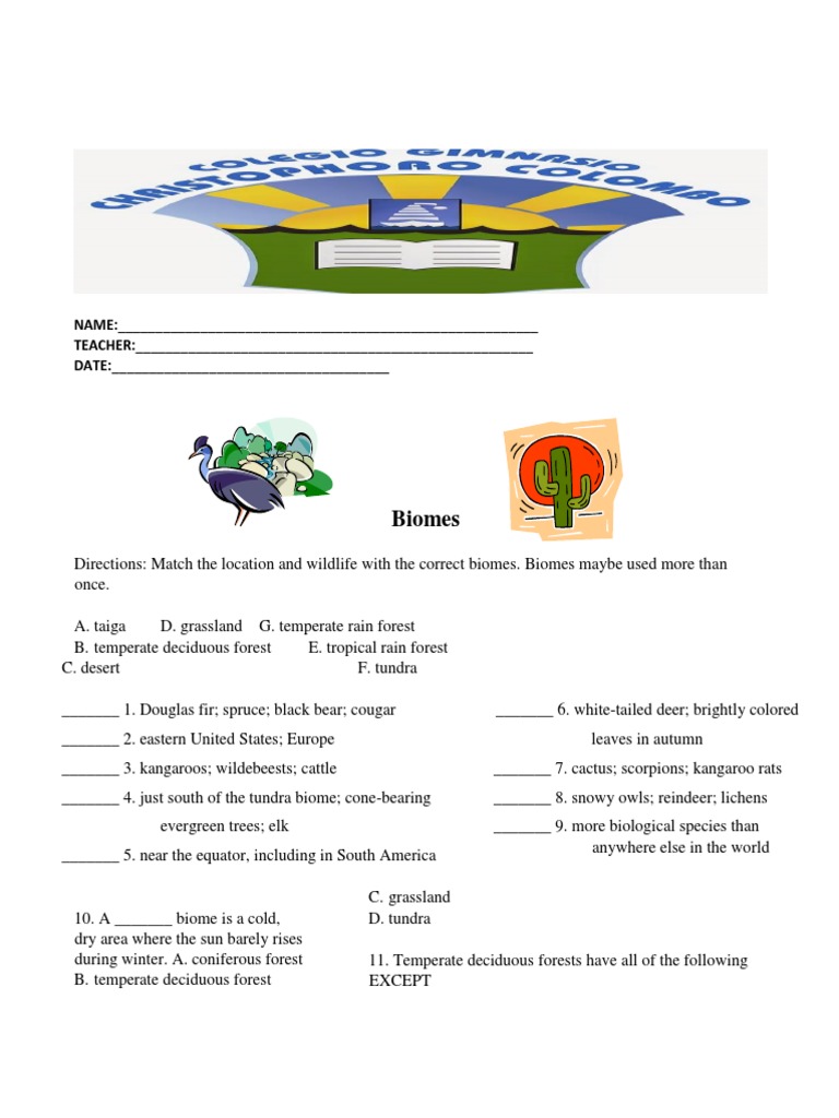 Taller 5 Grado | PDF | Forests | Rainforest