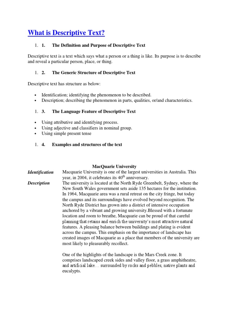 What Is Descriptive Text | PDF