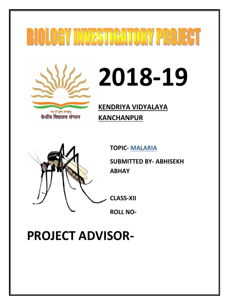 Class 12 Investigatory Project on Malaria | PDF | Malaria | Plasmodium