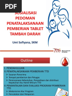Pedoman Pemberian Tablet Tambah Darah | PDF | Ilmu Sosial ...
