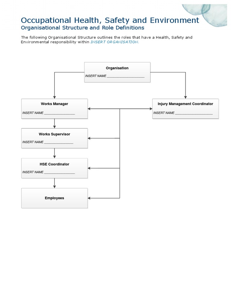 HSE Organisational Structure Template | PDF | Labor Relations | Safety