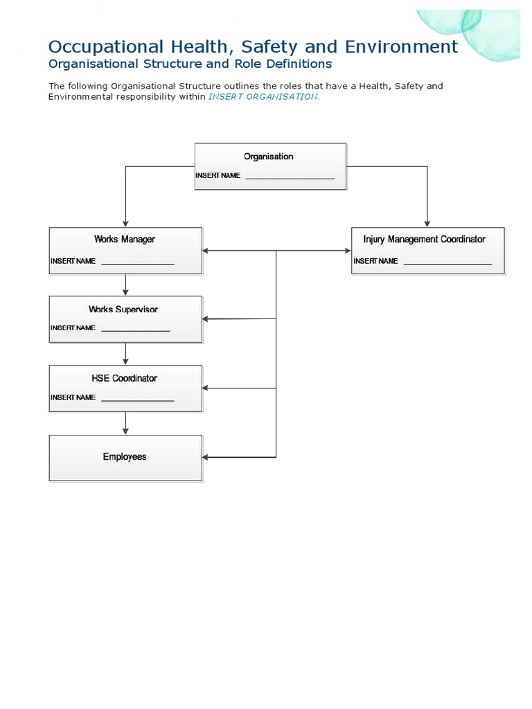 HSE Roles and Responsibilities Overview | PDF | Safety | Employment