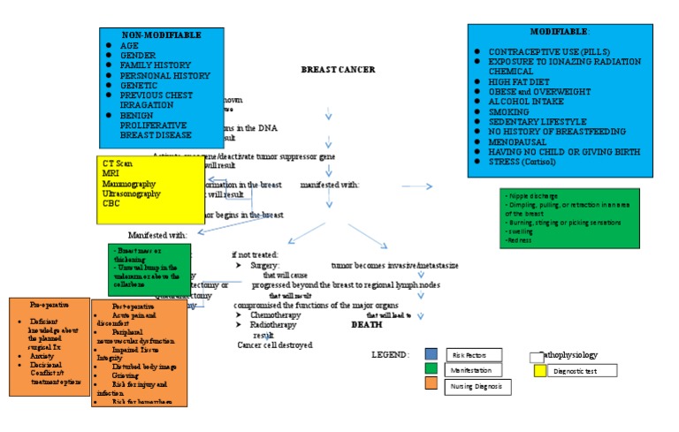 Breast Cancer Concept Map | PDF | Breast Cancer | Neoplasms