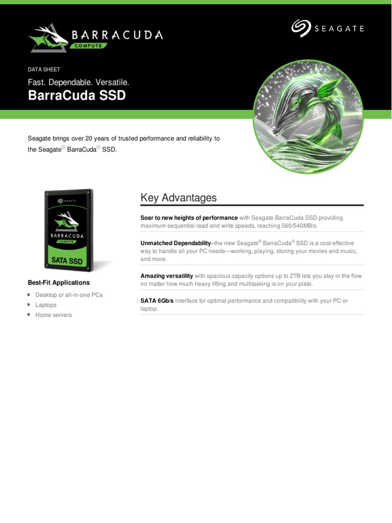 Barracuda SSD DS1984!4!1905 WW en US | PDF | Solid State Drive ...