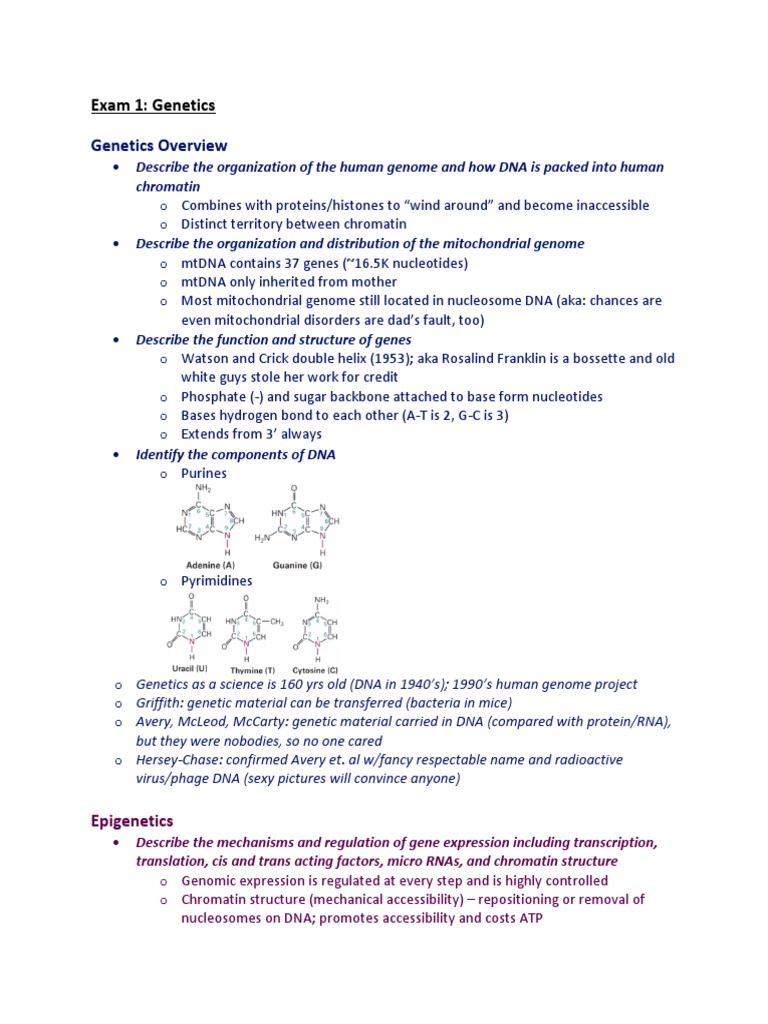 Genetics Exam 1 Study Guide | PDF | Genetic Linkage | Gene Expression