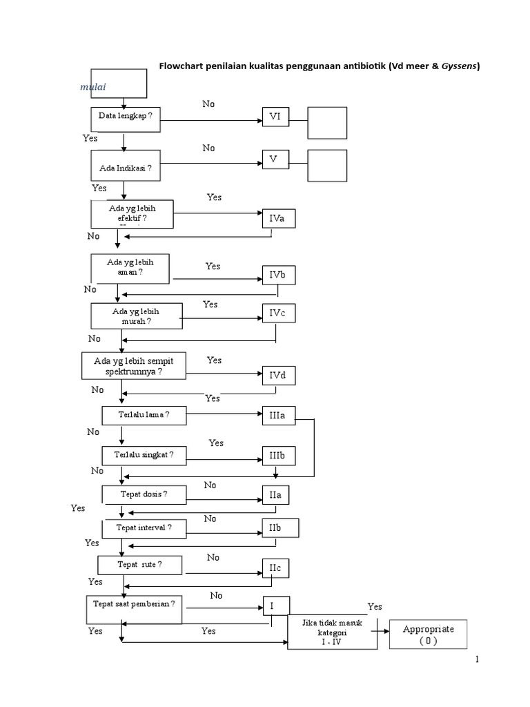Penilaian Kualitas Penggunaan Antibiotik Menggunakan Flowchart Vd Meer ...