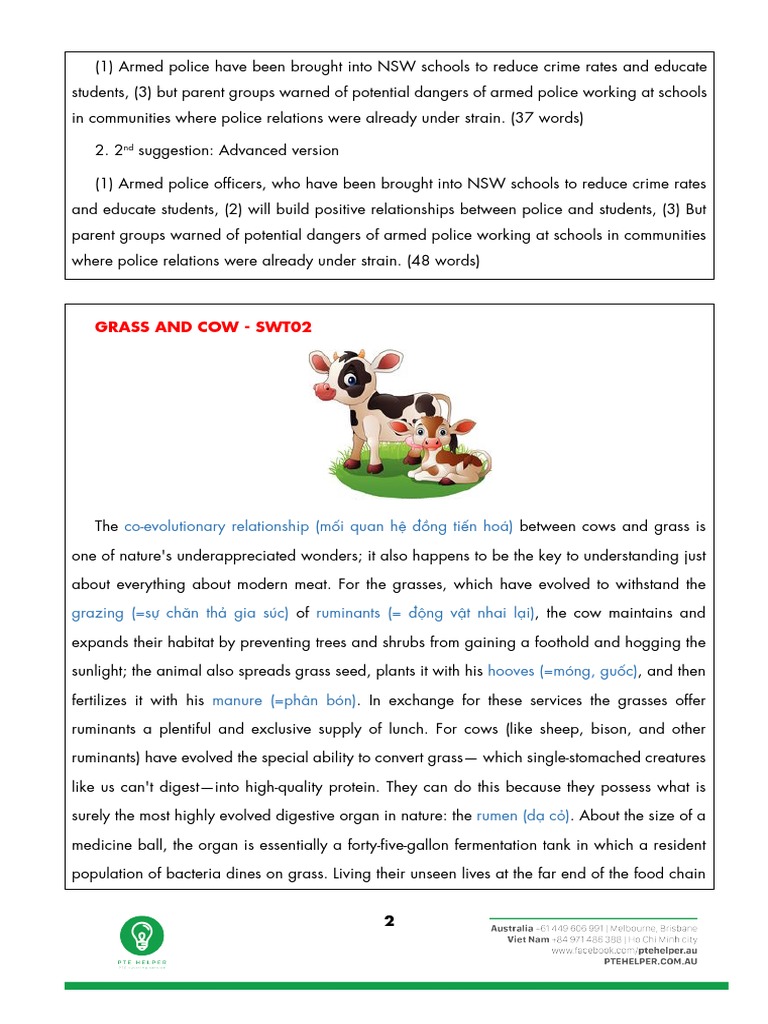 PTE SWT Collection 3 | PDF