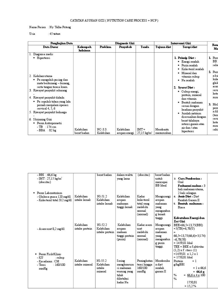NCP Catatan Asuhan Gizi | PDF